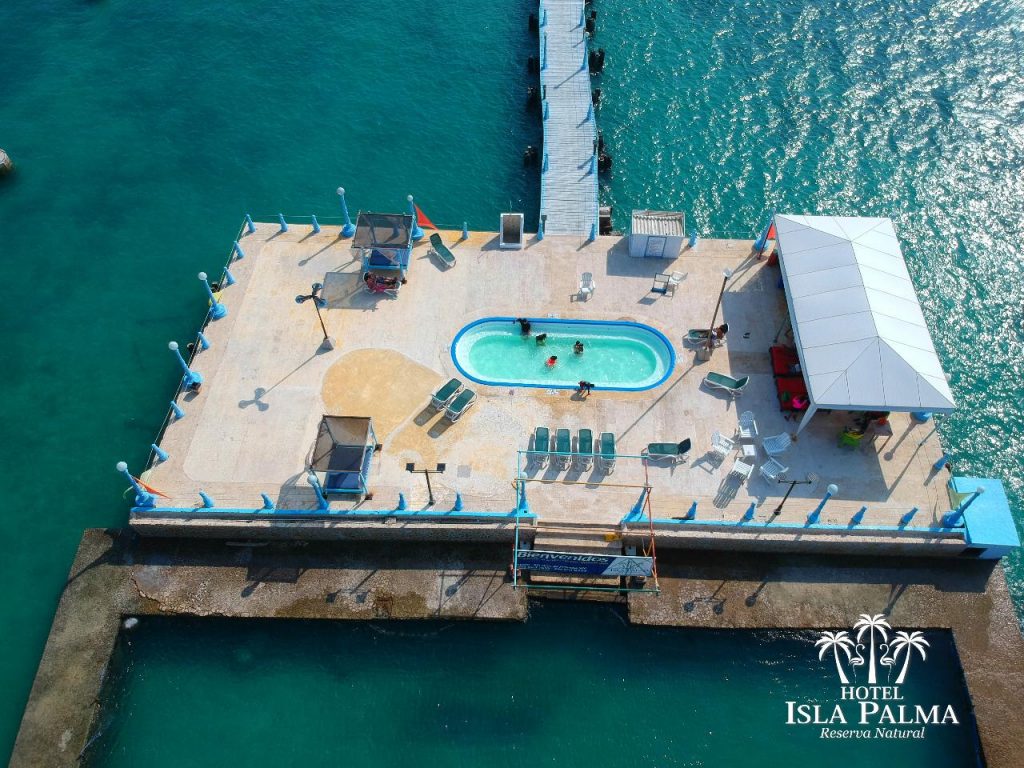 ISLA PALMA ⛱️🌞🤿 / ARCHIPIELAGO DE SAN BERNARDO - INFINITY Travels